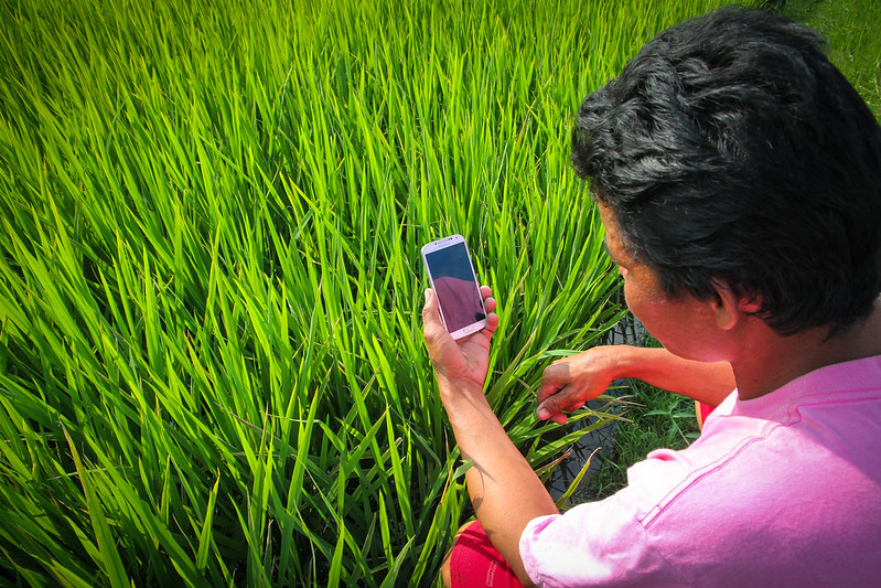 Developers unite around a common platform to liberate breeding data ...