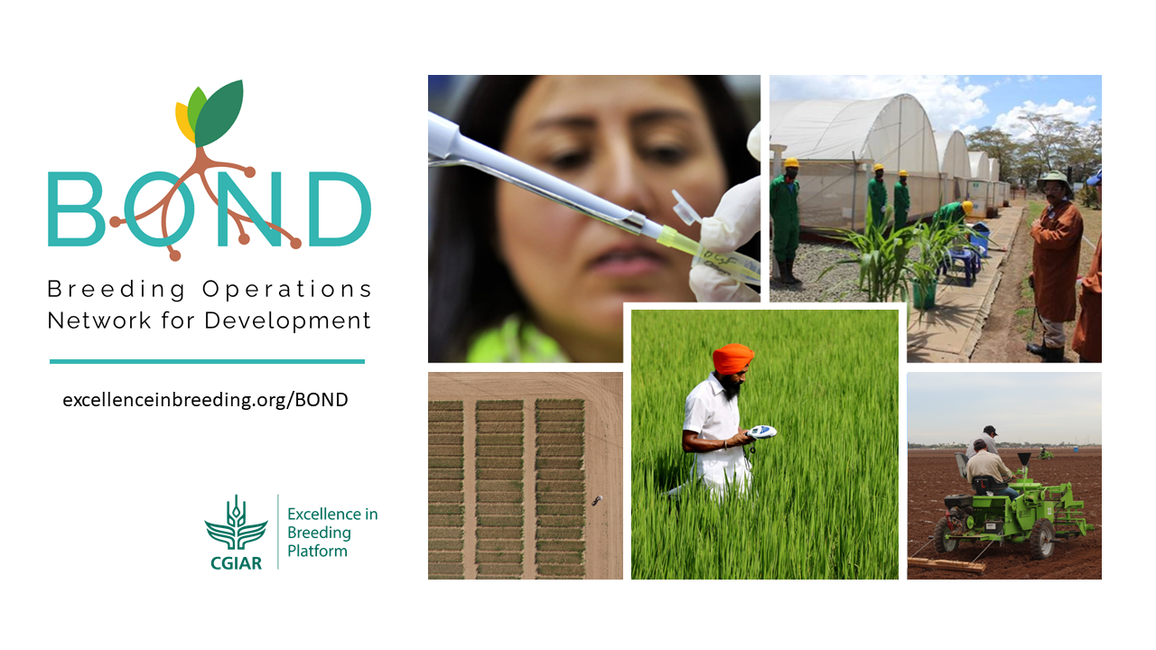 Breeding Operation Network for Development (BOND) | Excellenceinbreeding