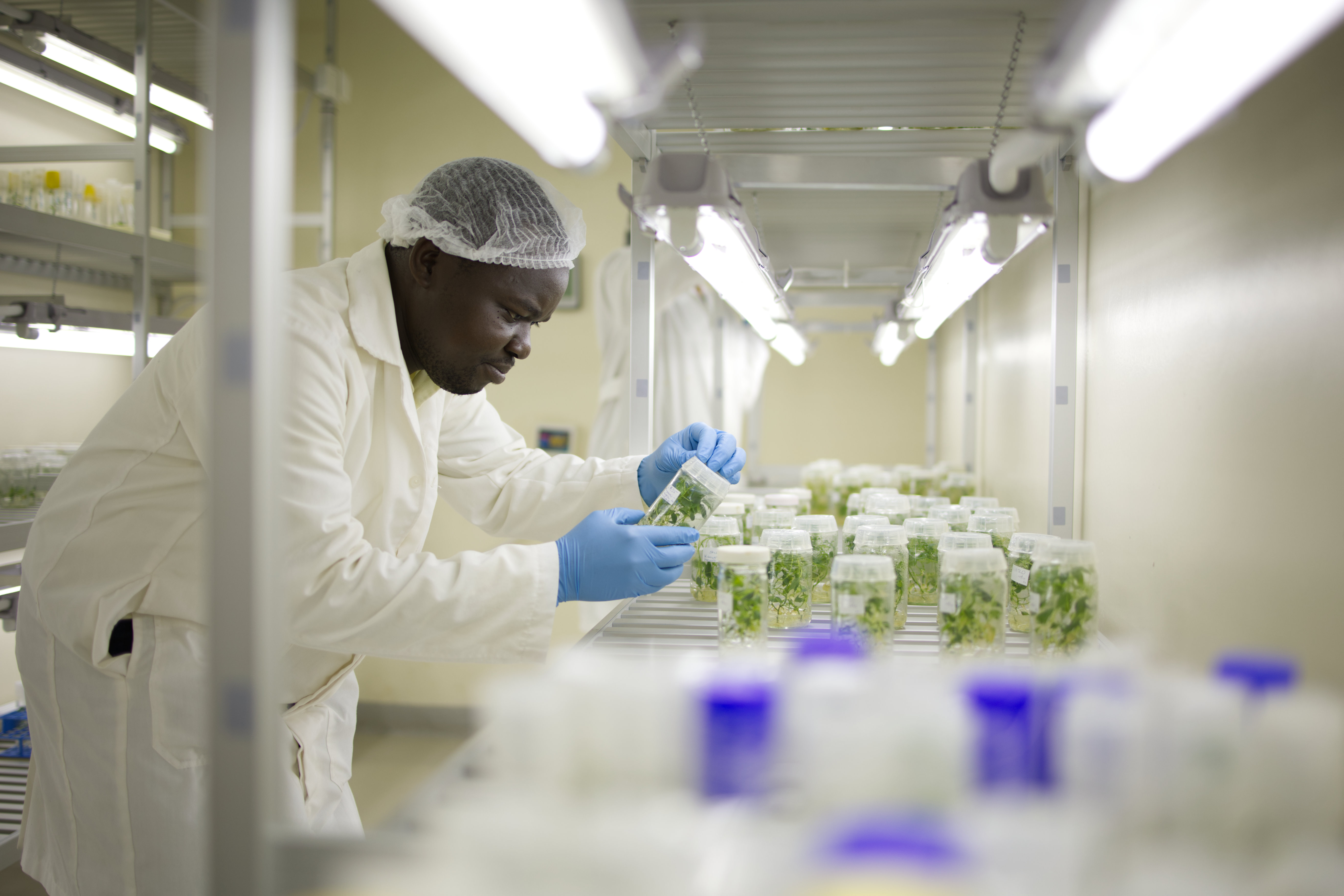 Inside Genetic Innovation’s process management: mapping processes to ...