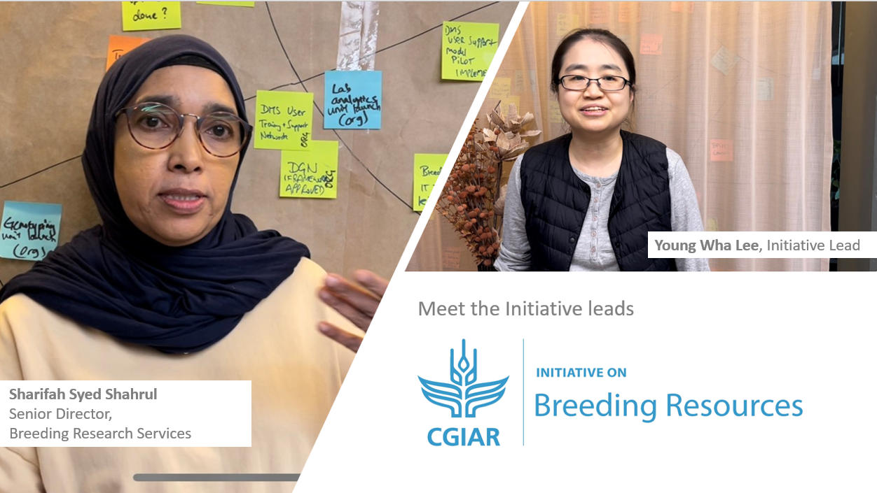 Leading with vision: Meet the Breeding Resources Initiative leads ...