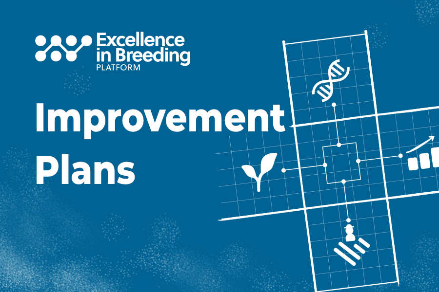 Transforming CGIAR breeding impact: 3 key points to understand the ...