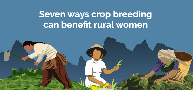 Infographic shows how crop breeding can benefit women ...