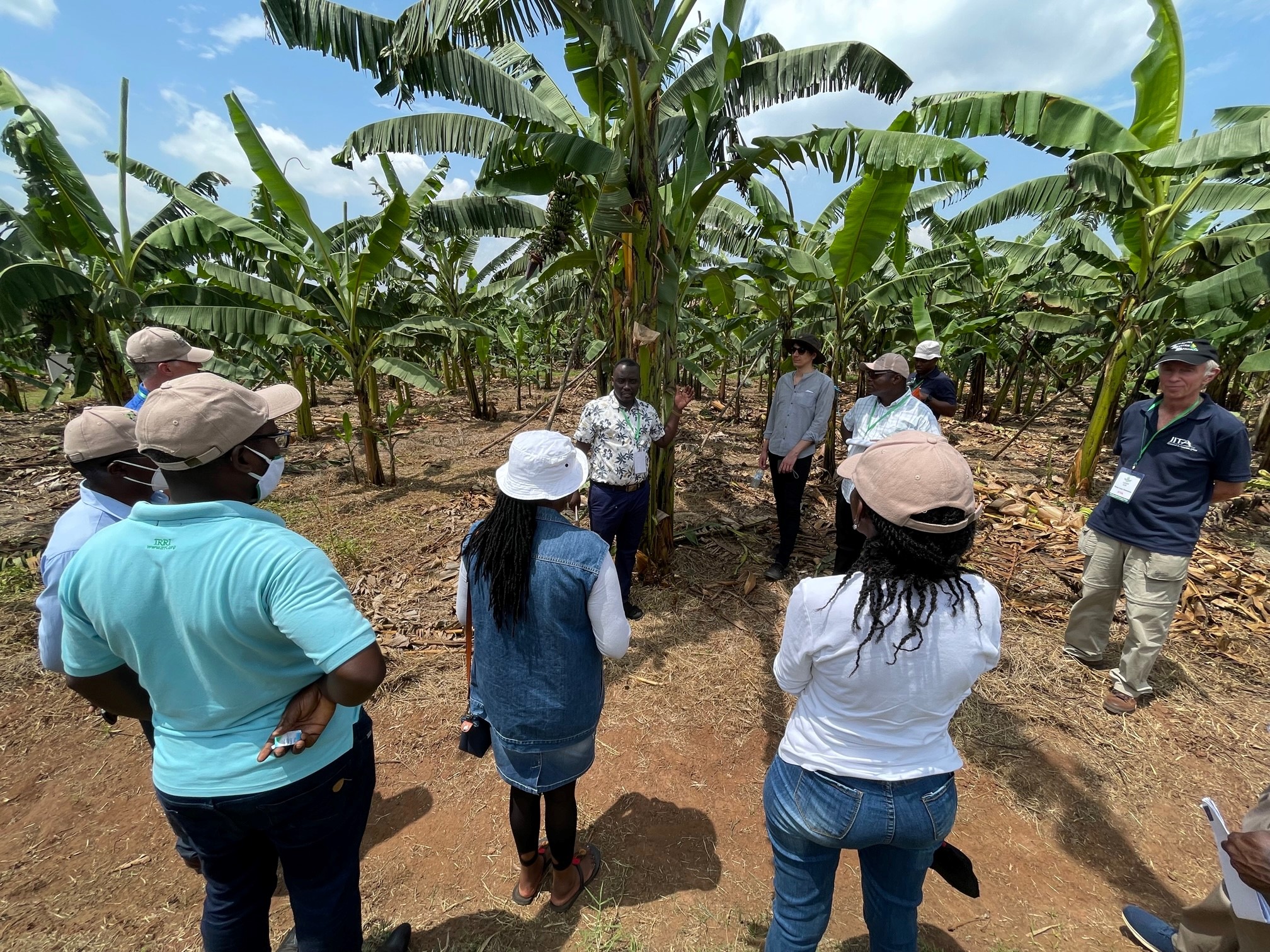 African breeding and operations teams boost expertise and map out ...